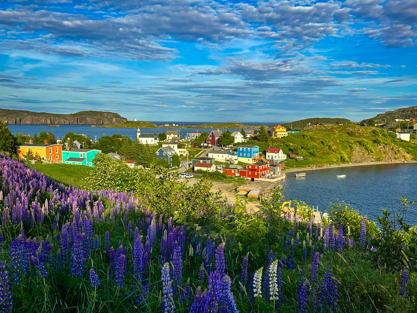 How to Visit 5 Enjoyable Wonders in Norris Point, Newfoundland and ...